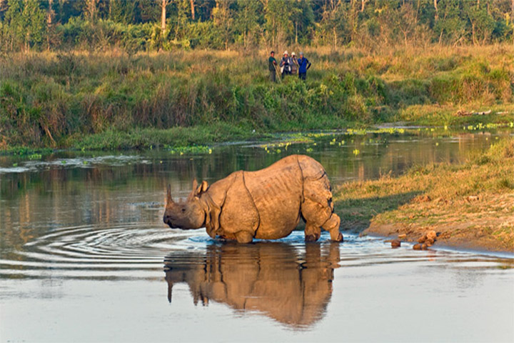 Chitwan National Park Tour
